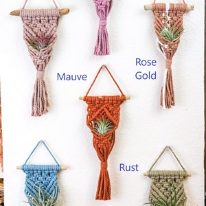 Air Plant Hanger Mini Macrame Hanging | Etsy