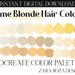 Some Blonde Hair Colors - Procreate Color Palette: Character Face ...