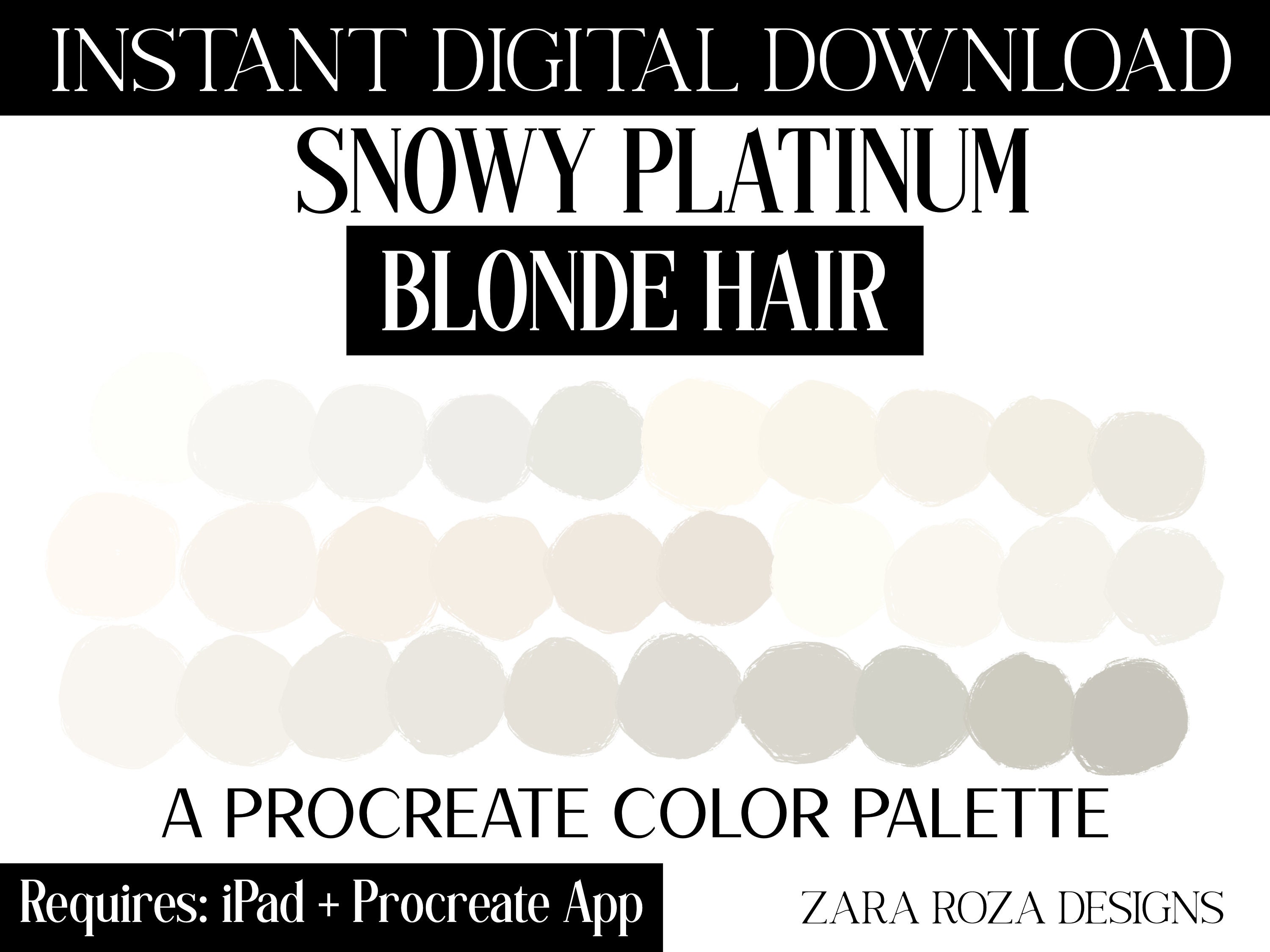 BIG BUNDLE 24 Procreate Hair Color Palette Collection Pack Set: Natural ...