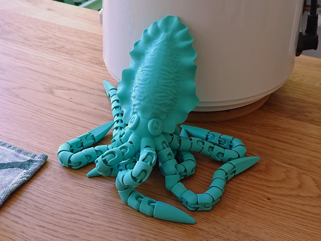 Articulated Cuttlefish 3D Printed and Posable Marine Wonder - Etsy