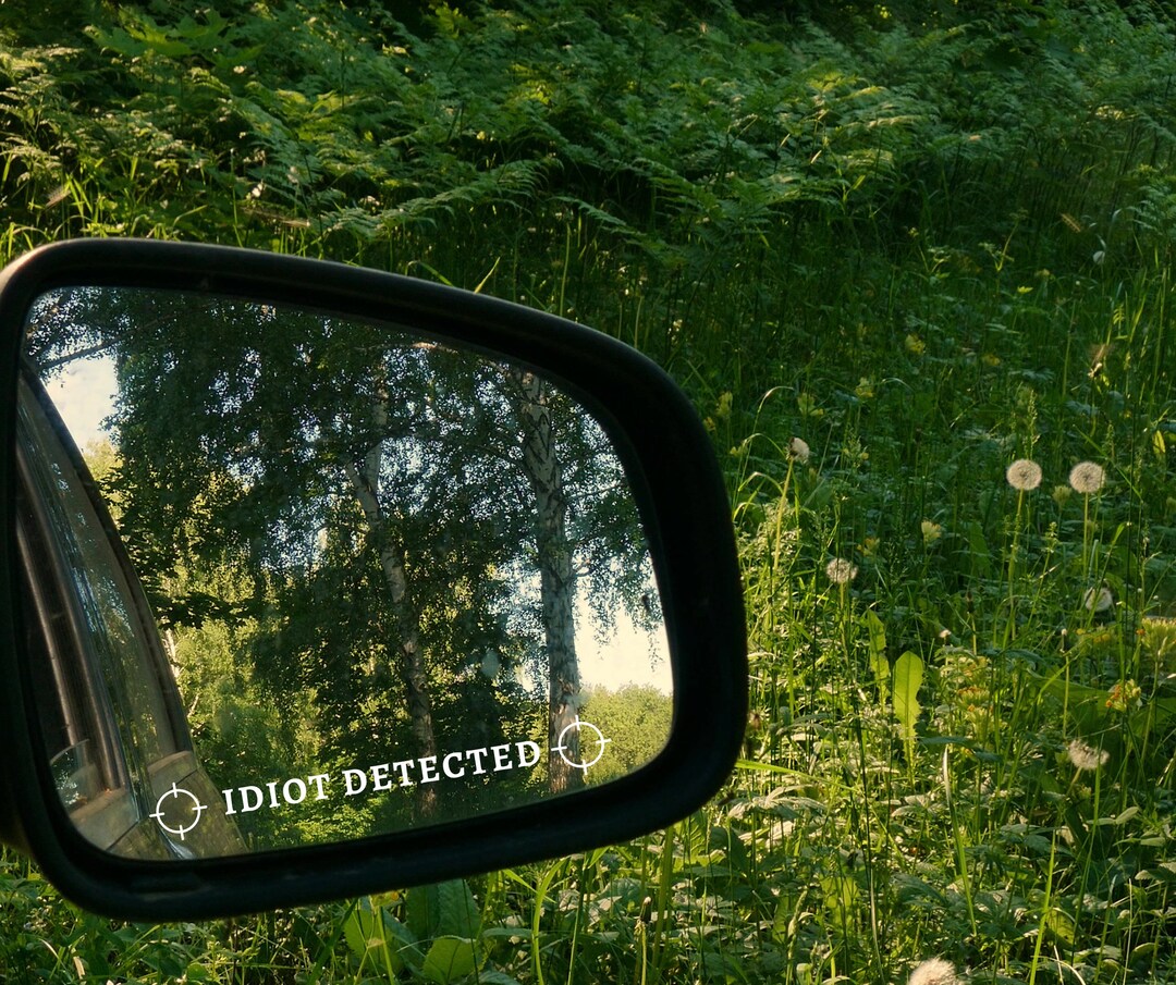Idiot Detected Car Decal, Side Mirror Decal, Wing Mirror Decal, Rear ...