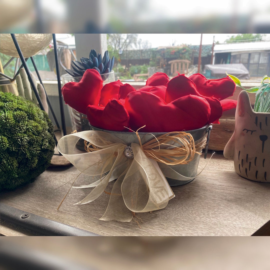 Bucket of Love - Unique Valentine's Day Gift With a Dozen Squishy ...