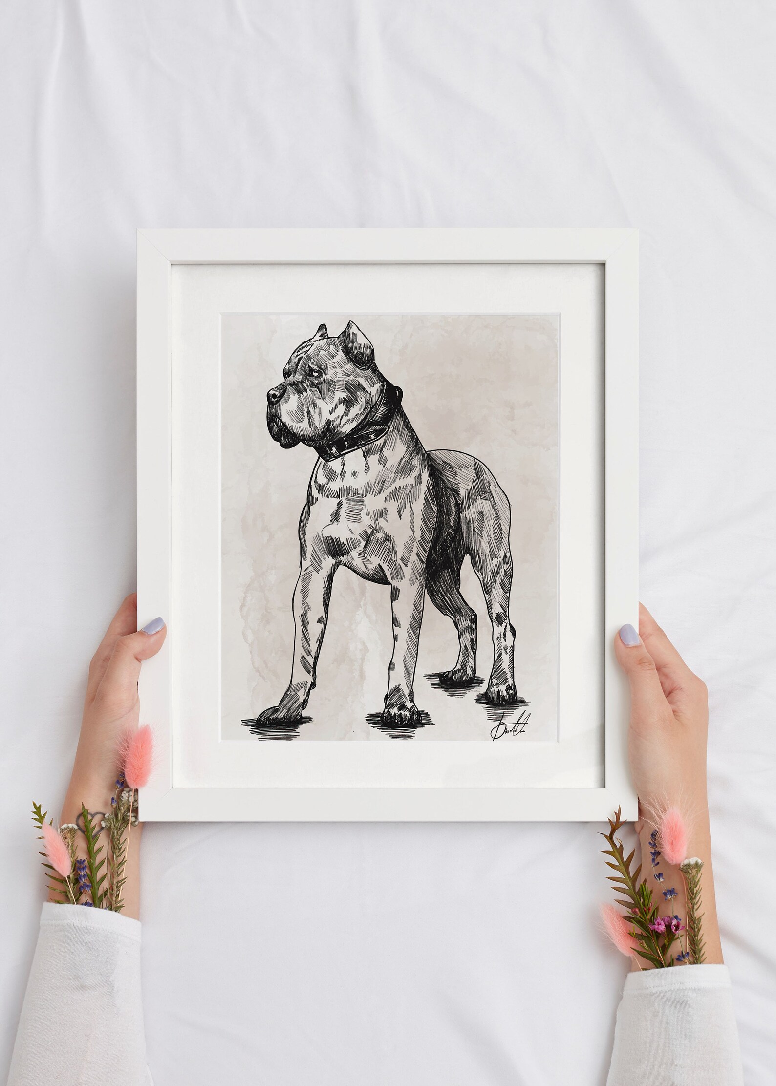 Cane Corso Print, Cane Corso Wall Art, Cane Corso Drawing, Cane Corso ...