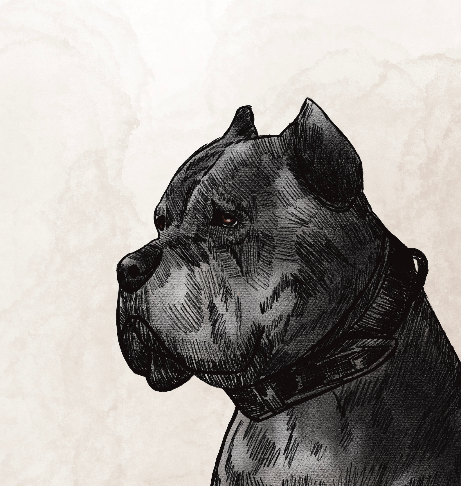 Cane Corso Print Cane Corso Wall Art Cane Corso Drawing - Etsy