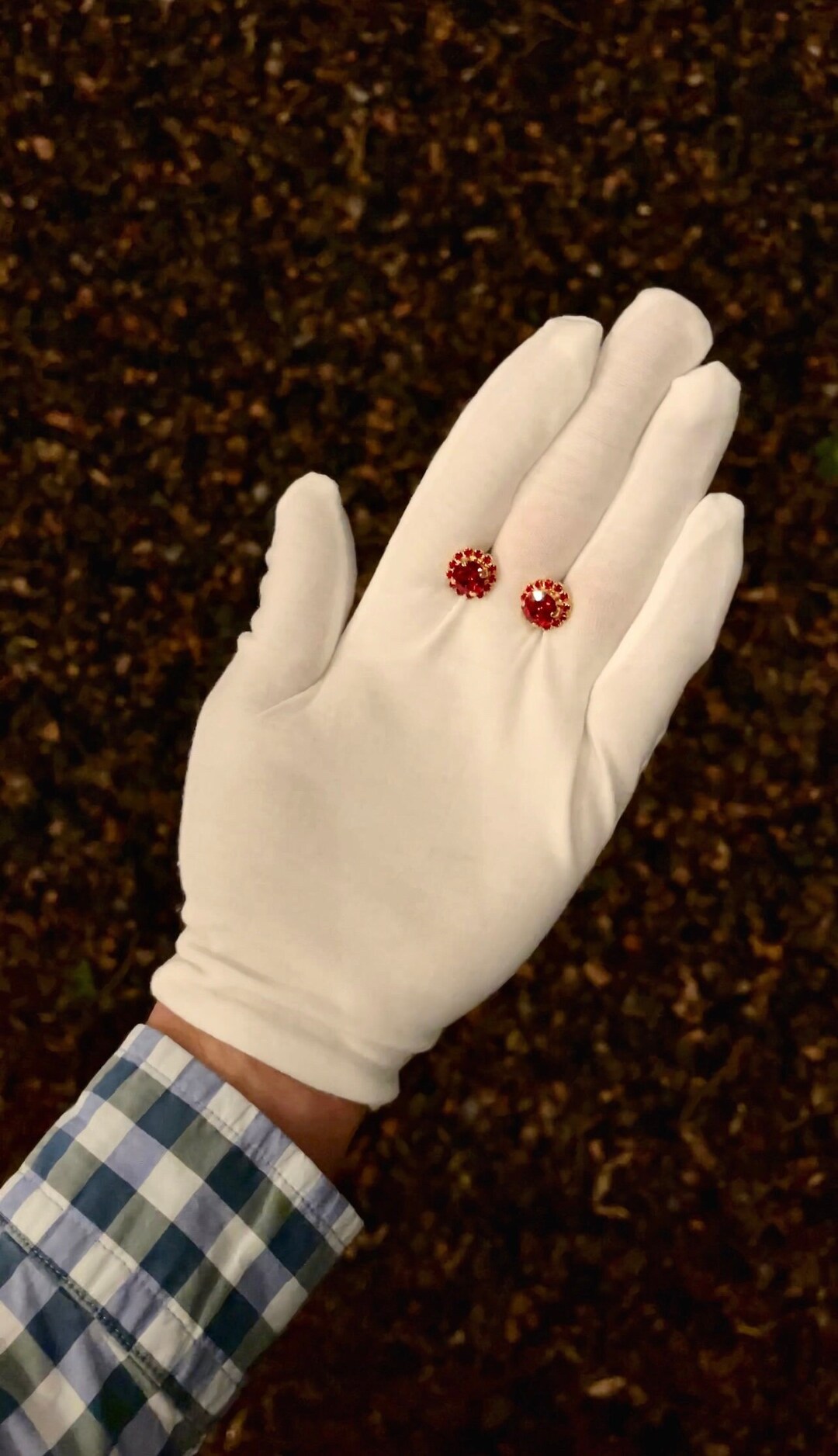 Red | Small Round Halo Stud Crystal Earrings | Wizard of Oz | Ruby ...