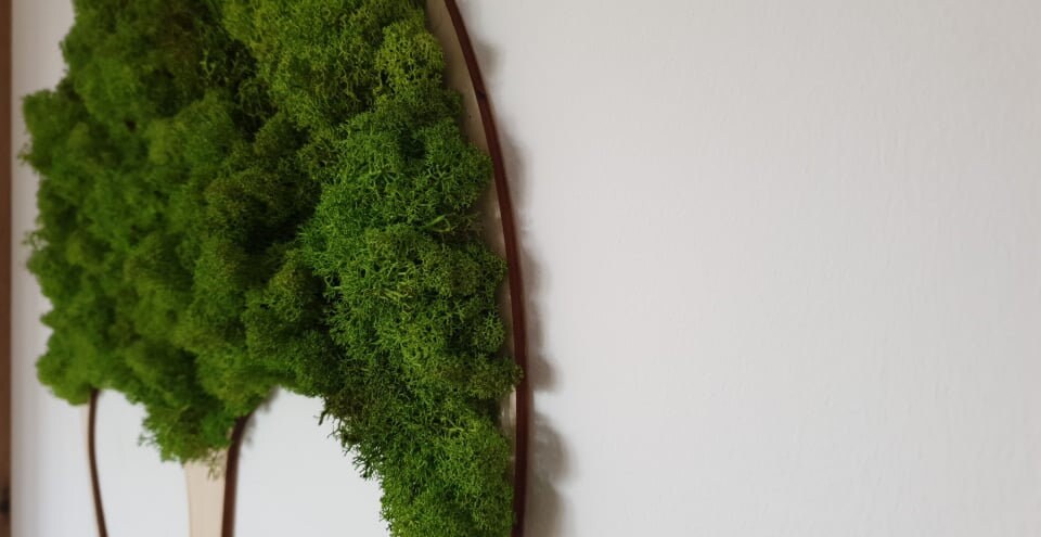 Family Tree Moss With Wooden Detals Tree With Moss Family - Etsy