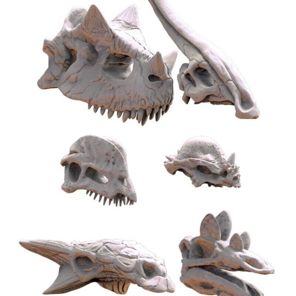 Miniature Dinosaur Skull - Etsy