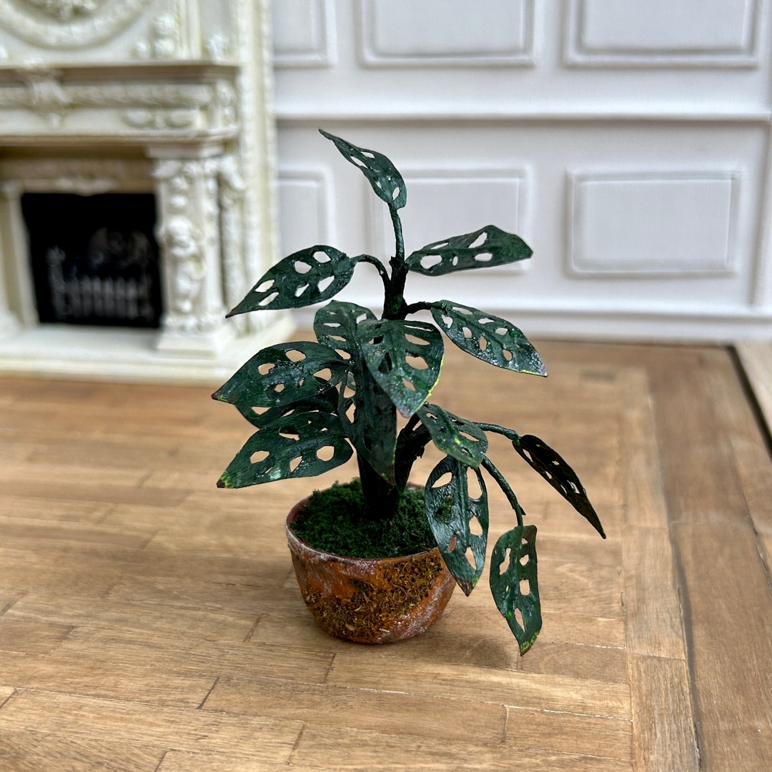 Miniature Monstera Adansonii, OOAK Tiny Potted Plant for Dollhouse ...