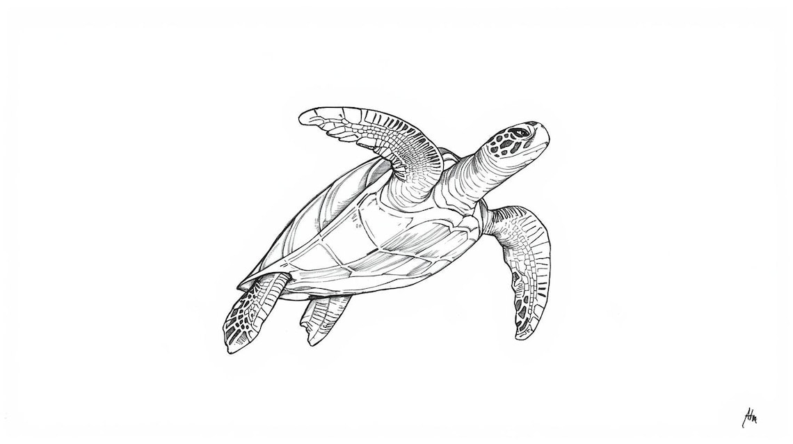 Ocean Animals Coloring Book With Fun Facts – Kids Printable PDF ...