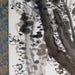 Vintage Japanese Hanging Scroll With Wooden Box – Plum Blossom Ink ...