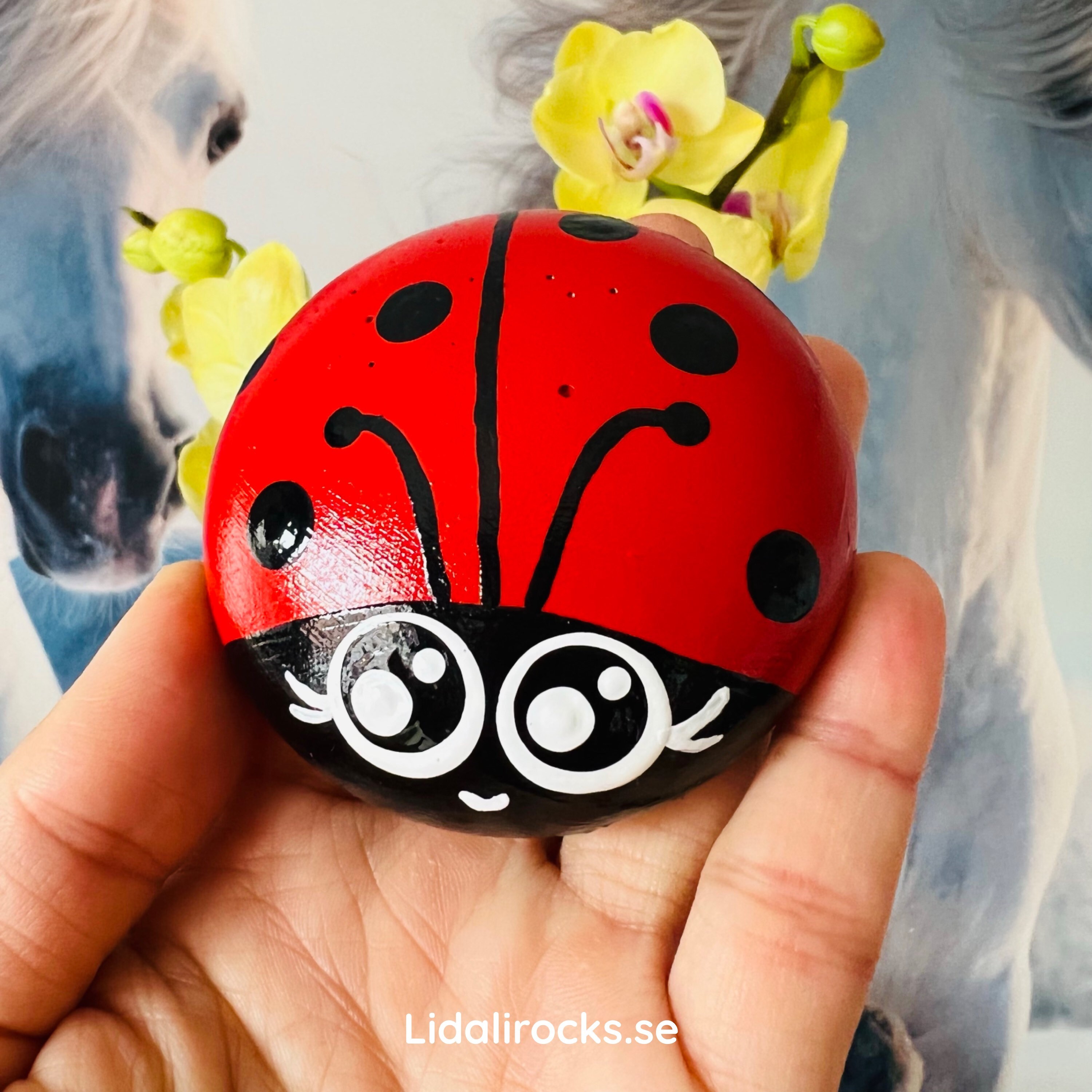 Ladybug Red, Ladybird Cute Gift for Her or Him - Etsy