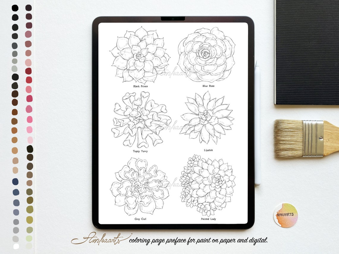 Cactus Coloring Page Set of 3 Coloring Pages Desert Learning - Etsy