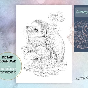 The Hedgehog Mushroom Colouring Page Fantasy for Adults and Children ...