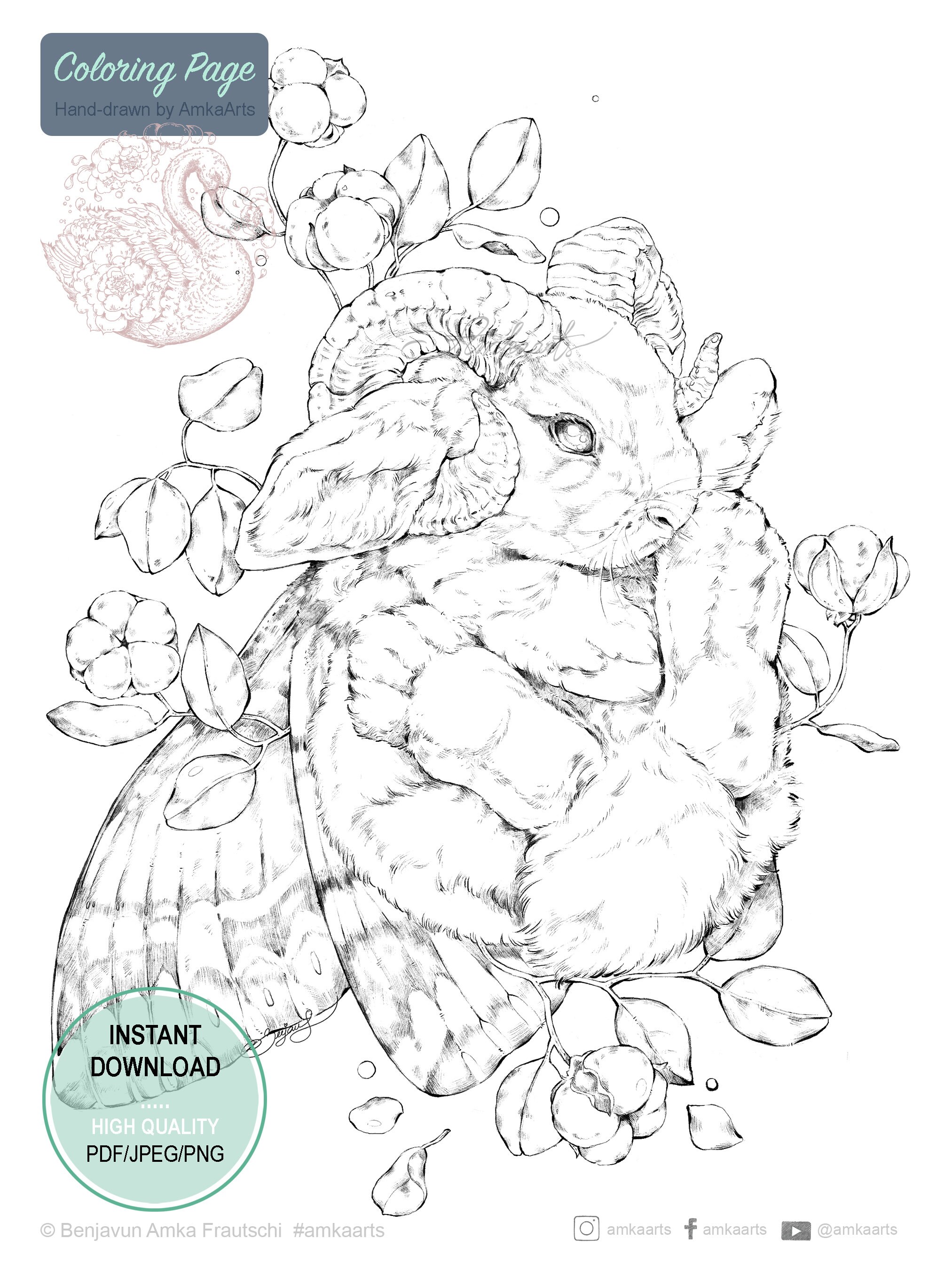 Bunnyfly Coloring Page, Bunny Butterfly Coloring Fantasy for Adult, Advanced Coloring Page Art ...