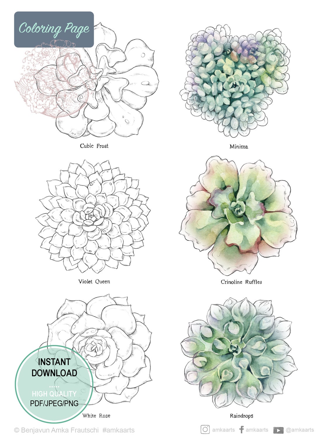 Cactus Coloring Page Set of 3 Coloring Pages Desert Learning - Etsy