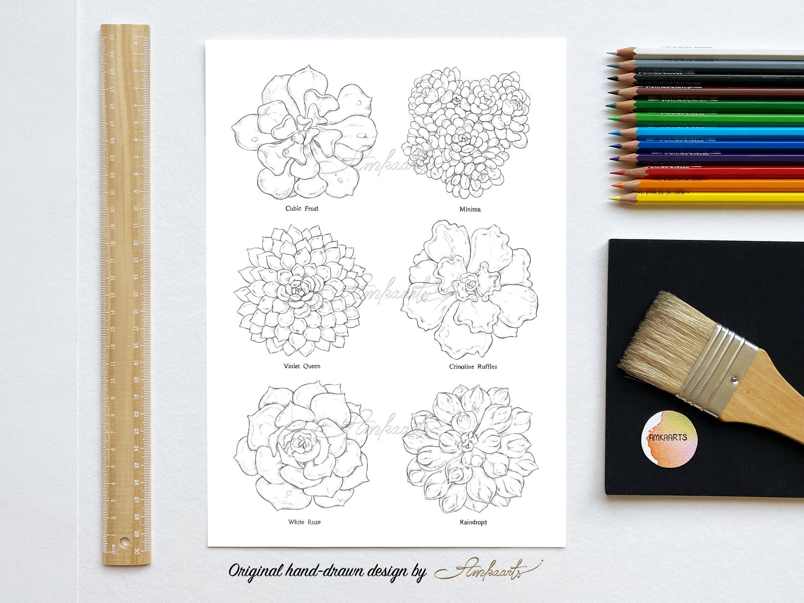 Cactus Coloring Page Set of 3 Coloring Pages Desert Learning - Etsy