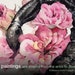 Scorpio Zodiac Geranium Watercolor Art Print (digital Download) - Etsy