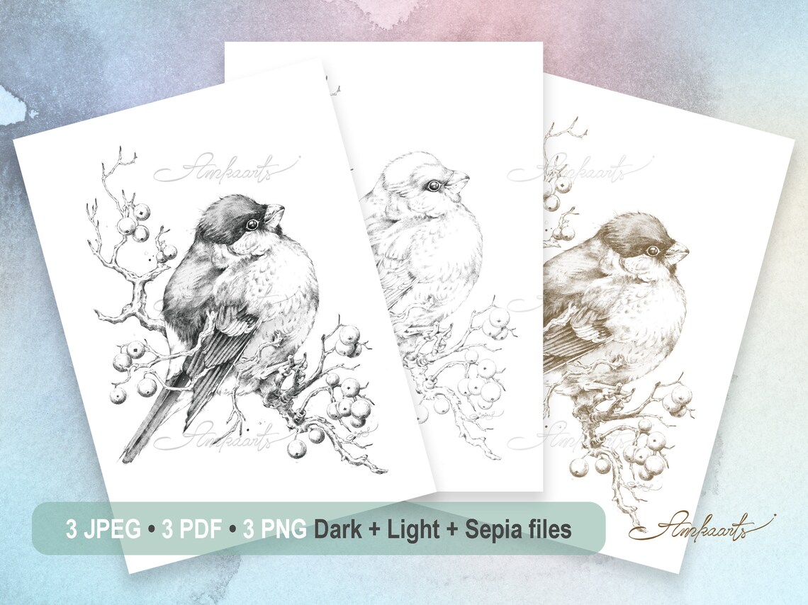 A Lovely Winter Bird Coloring for Adults, Grayscale Coloring, Printable ...