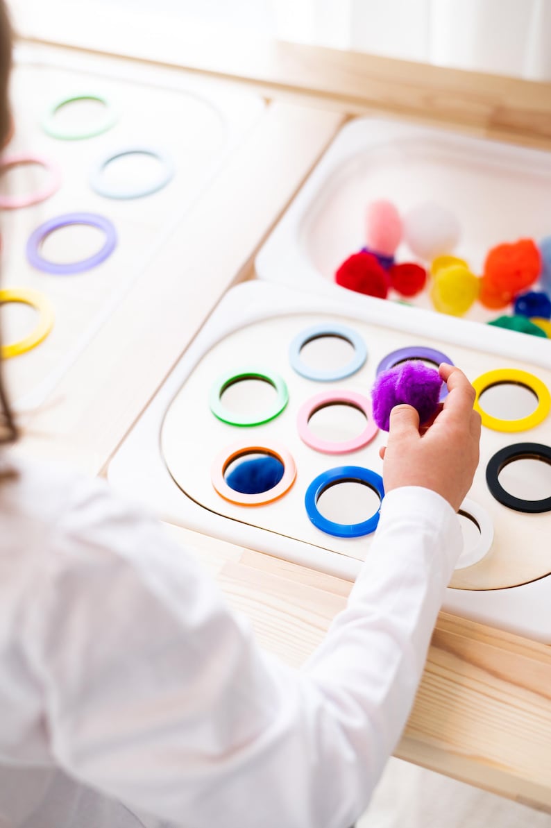 Igelkind Sorting Board Primary Colors Colors Color Theory Fine Motor ...