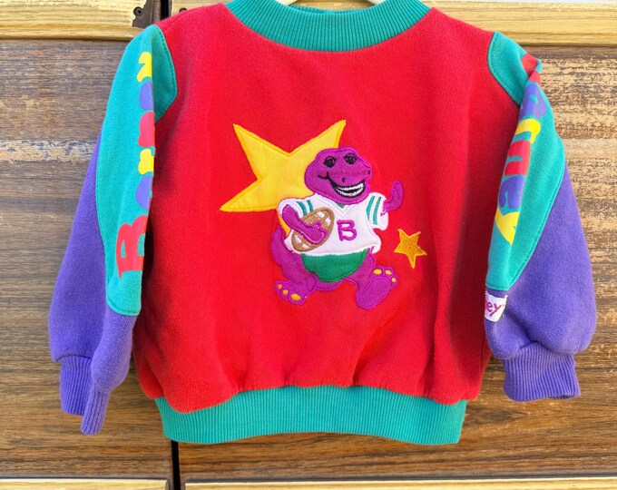 Vintage 1990s Kids Barney Football Colorblock Crewneck Sweatshirt ...