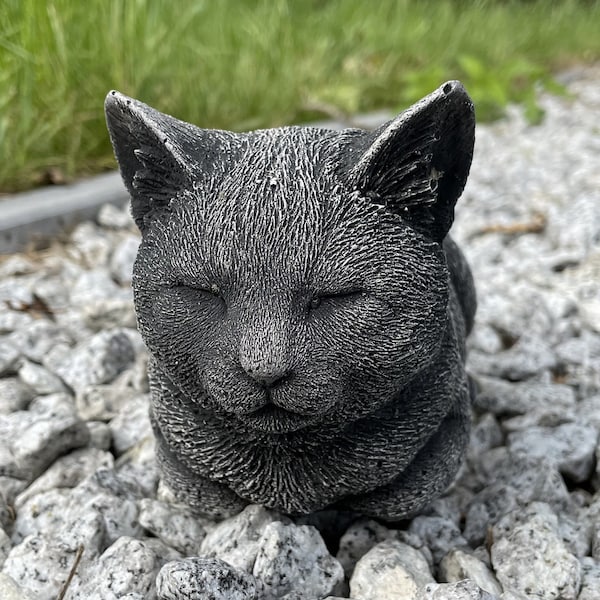 Painted Cat Stones - Etsy