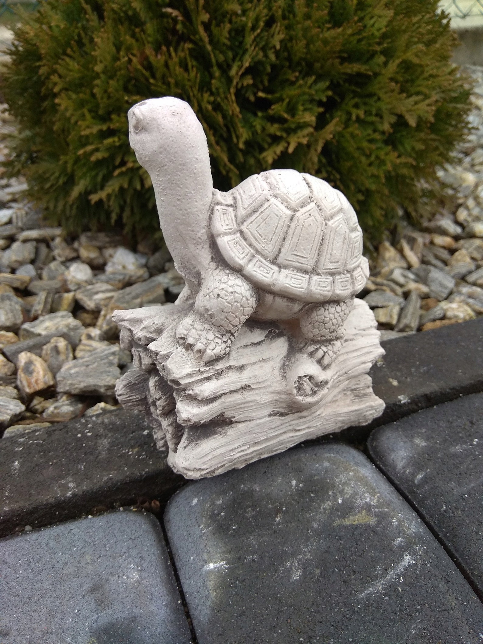 Concrete Turtle on a Log Tortoise Decor Small Turtle - Etsy