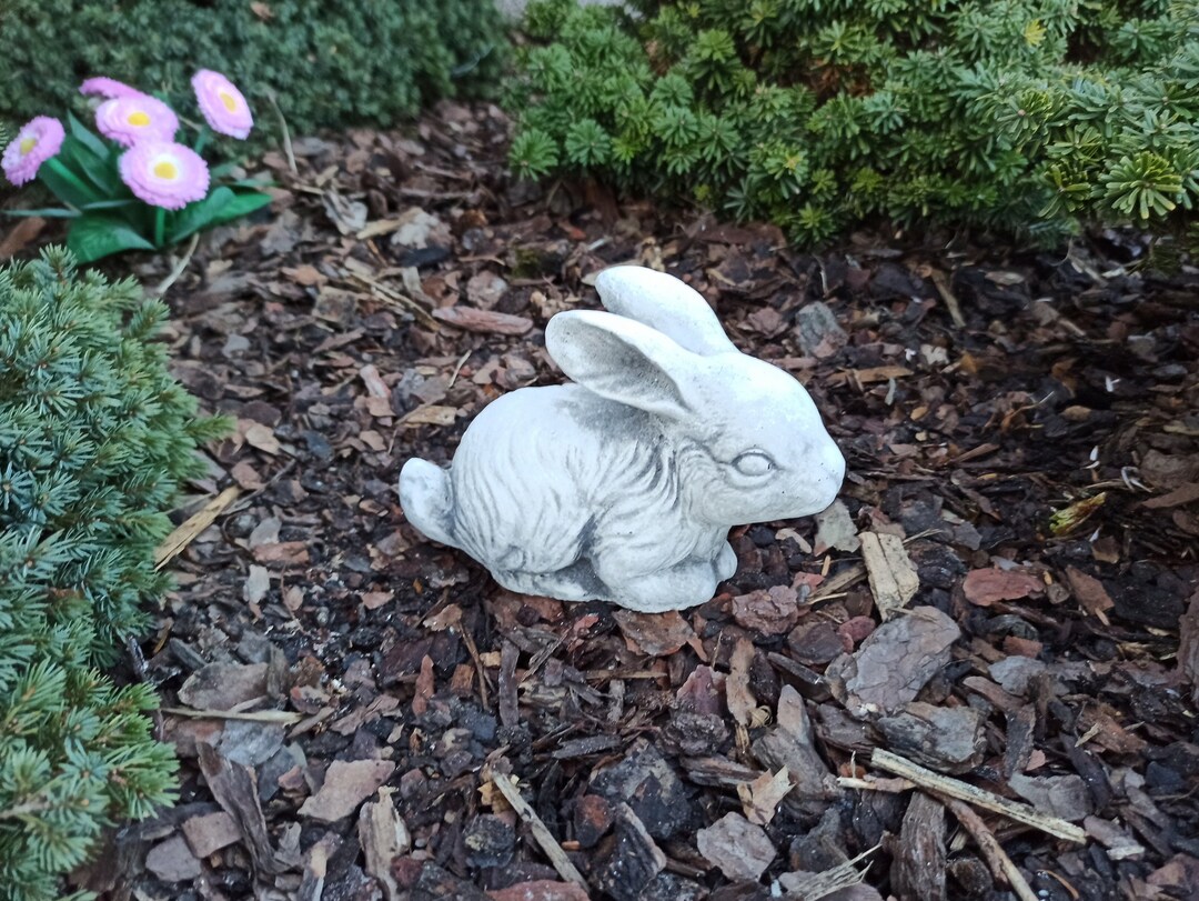 Baby Rabbit Concrete Statue, Little Hare Figure, Custom Hare, Handmade ...