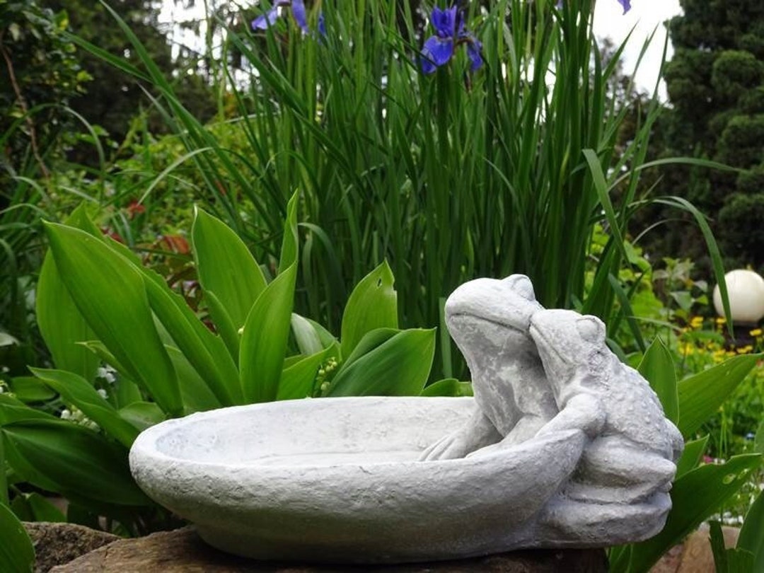 Concrete Frogs Drinking Bowl, Drinking Saucer, Bowl for Birds, Pond ...