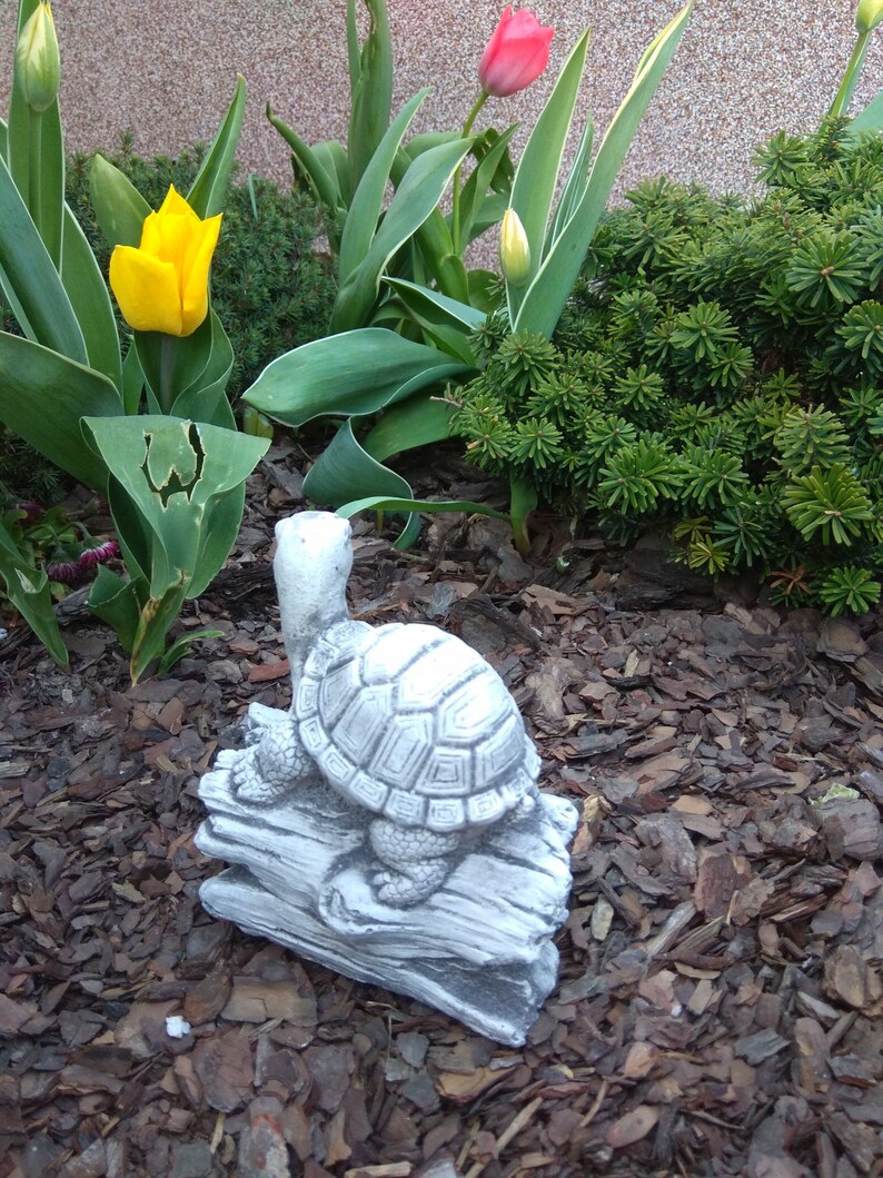 Concrete Turtle on a Log Tortoise Decor Small Turtle - Etsy