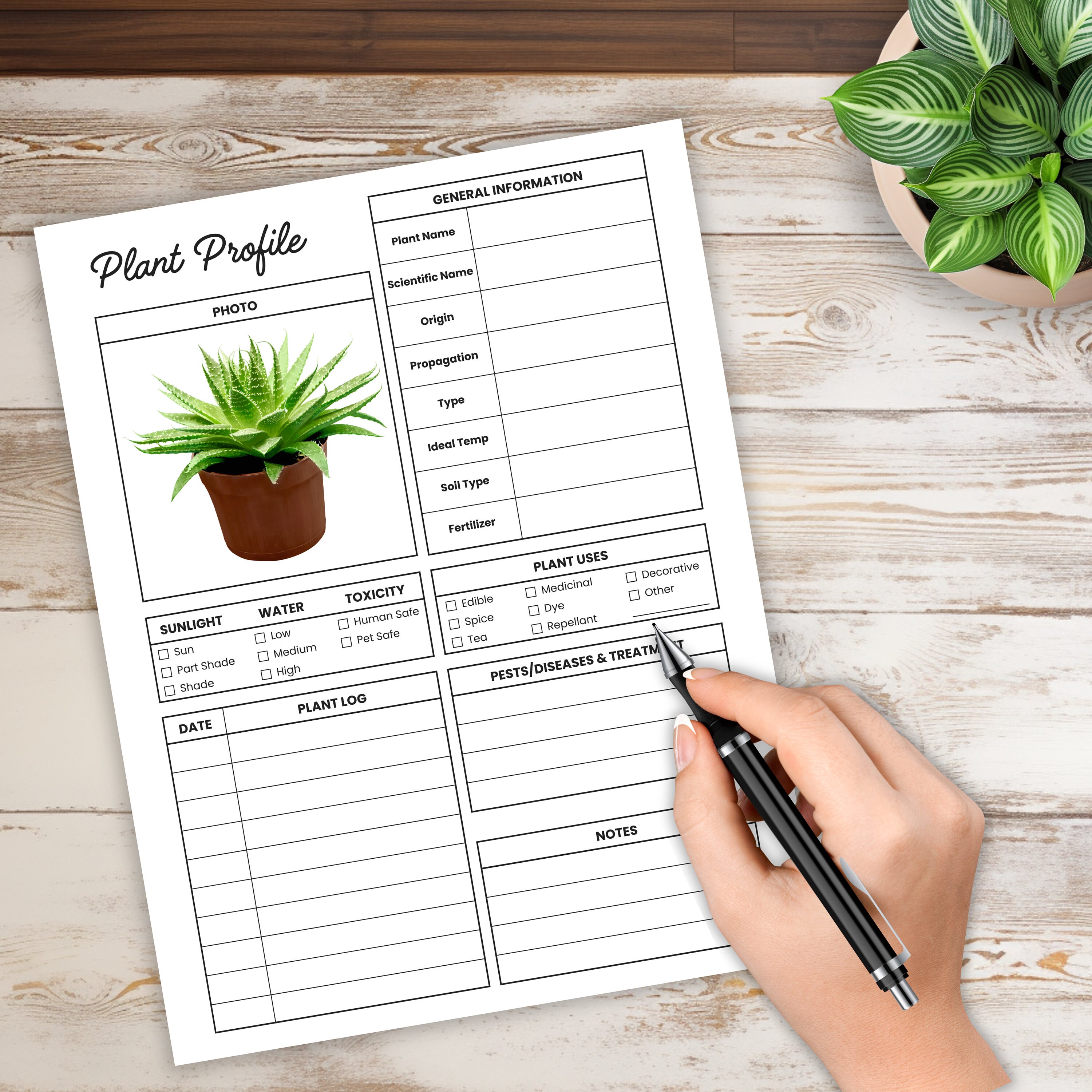 Plant Profile, Watering Schedule, Plant Care Journal, Houseplant Care ...