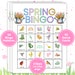 Printable Spring Bingo Games, Bingo Patterns, Springtime Bingo, Tea ...