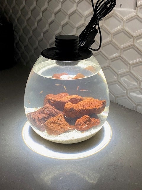 Sea Monkey Tanks And Accessories