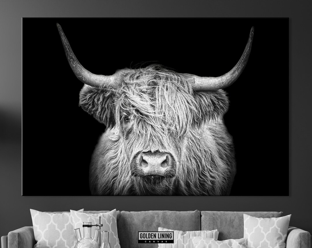 Silver Cow Canvas Print, Silver Highland Cow, Real Silver Canvas Print ...