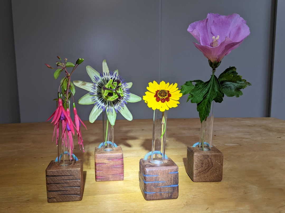 Reclaimed Wood Test Tube Vase: Mini Cube Propagation Station - Etsy