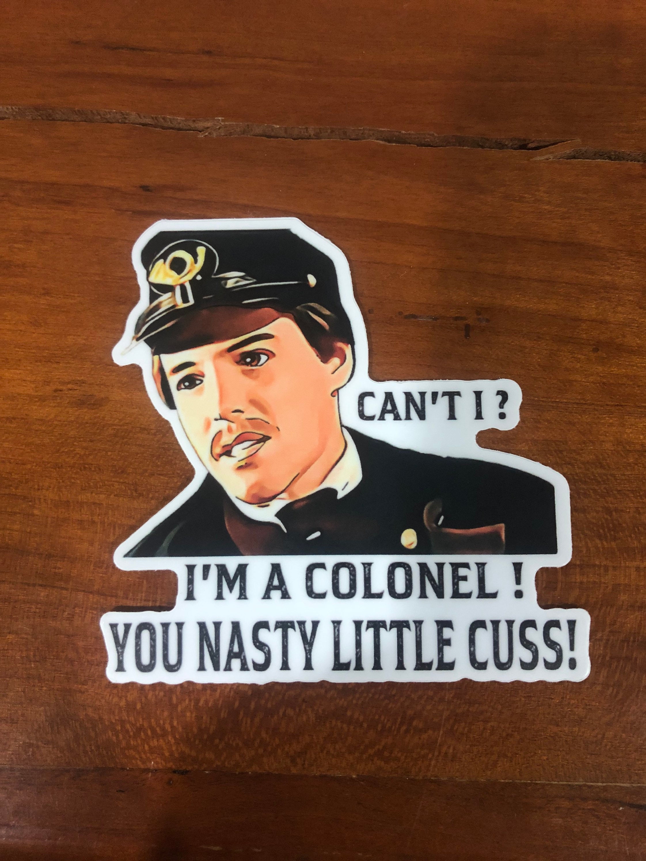 Glory Movie Colonel Shaw