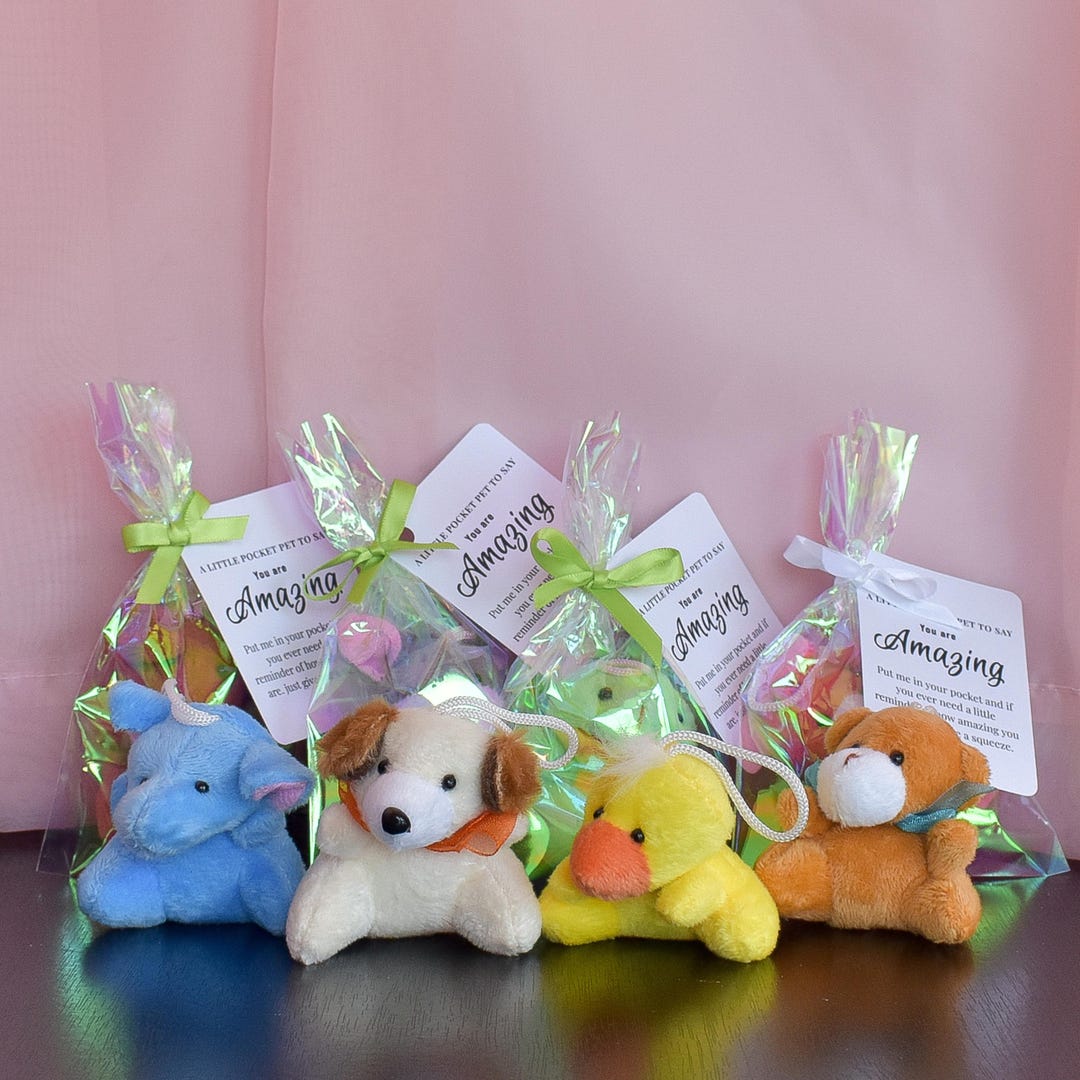 Tiny Plush Animal Pocket Pet Classroom Reward for Kids Thank You Party ...