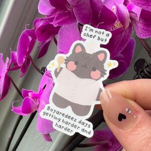 Chef Cat Meme Sticker Funny Cute Decal for Laptop - Etsy