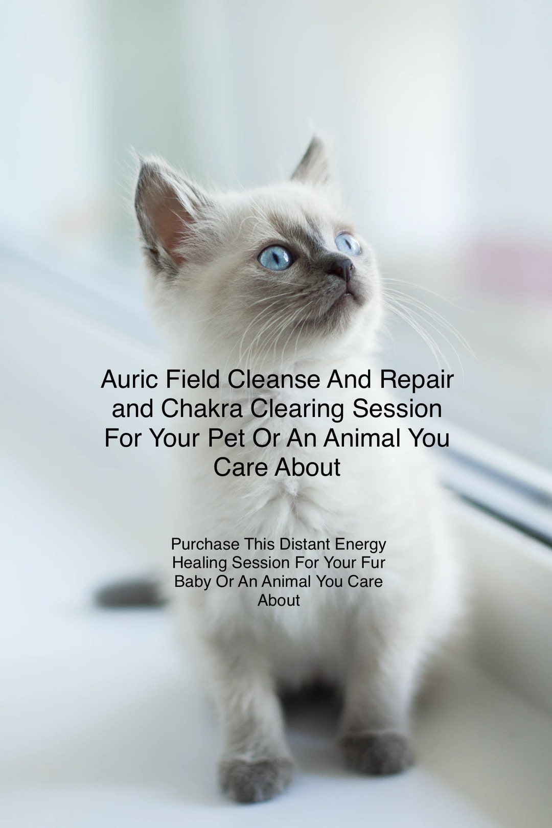 Auric Field Cleanse and Repair and Chakra Clearing for Your Pet ...