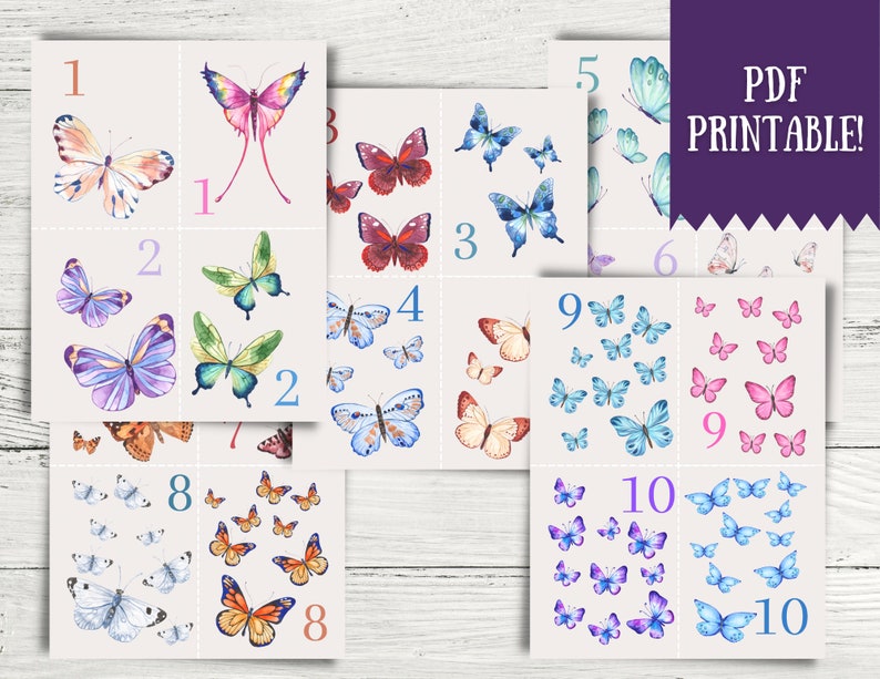 Butterfly Counting Flash Cards | Butterflies | Printable Flash Cards ...