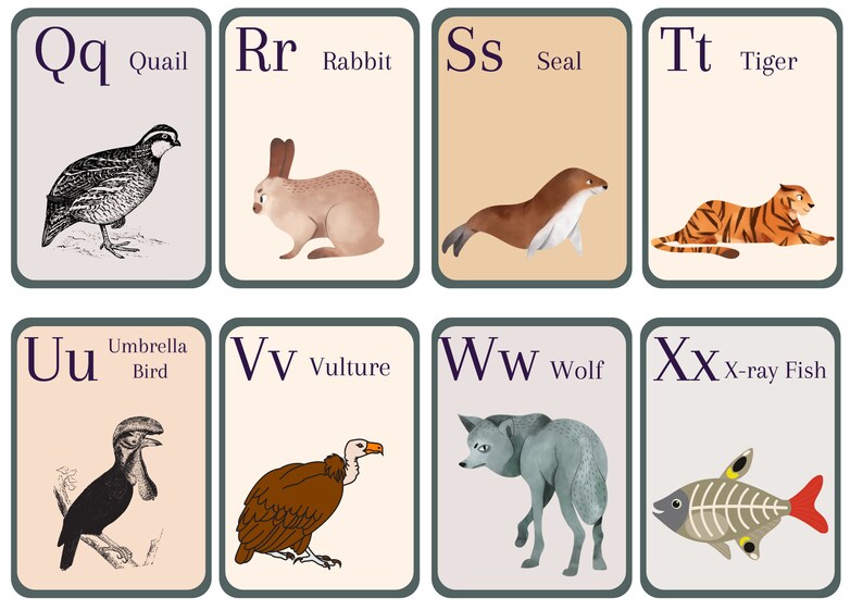 Animal Alphabet Flash Cards | Printable - Etsy