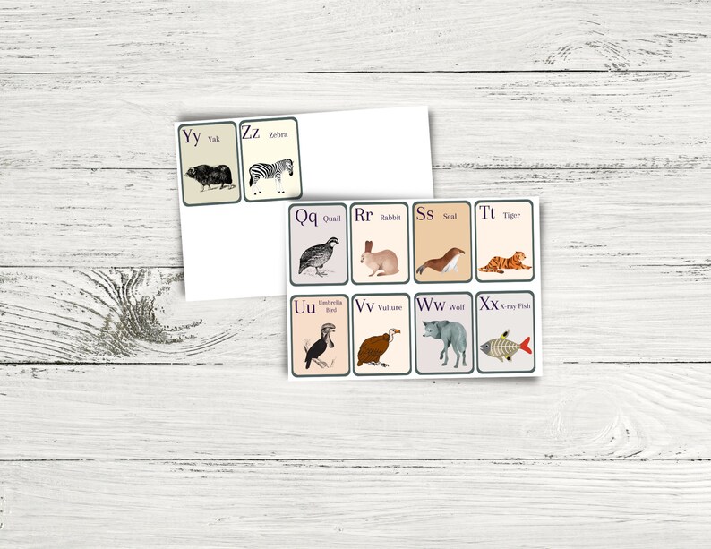 Animal Alphabet Flash Cards Printable - Etsy