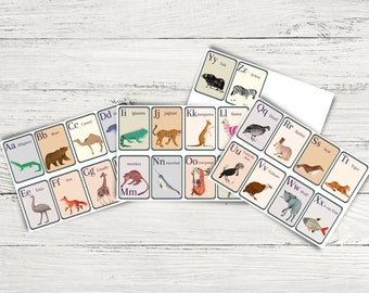 Animal Alphabet Flash Cards / ABC Animal Flash Cards Nursery Classroom ...