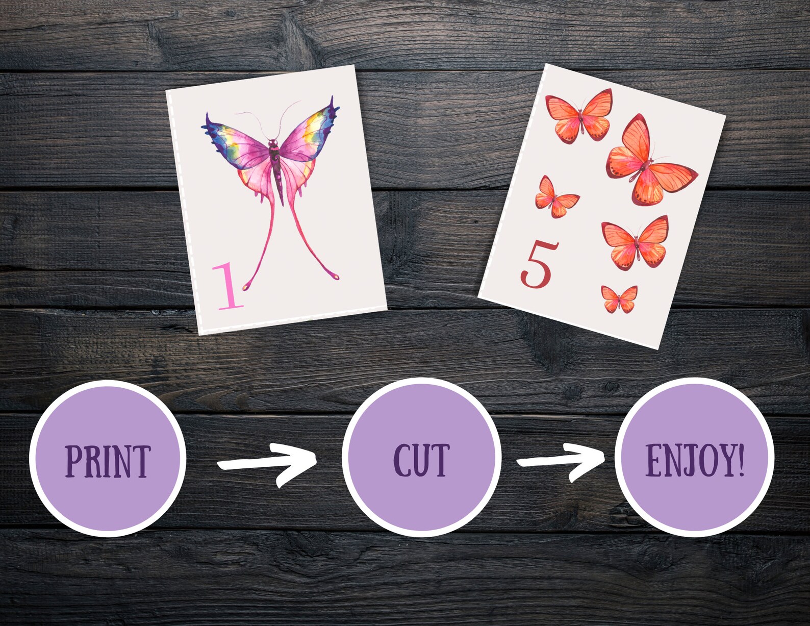 Butterfly Counting Flash Cards | Butterflies | Printable Flash Cards ...