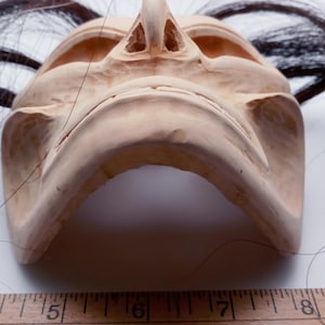 Makah Bukwus Mask: Native American Hand Carved Wall Hanging With Horse ...