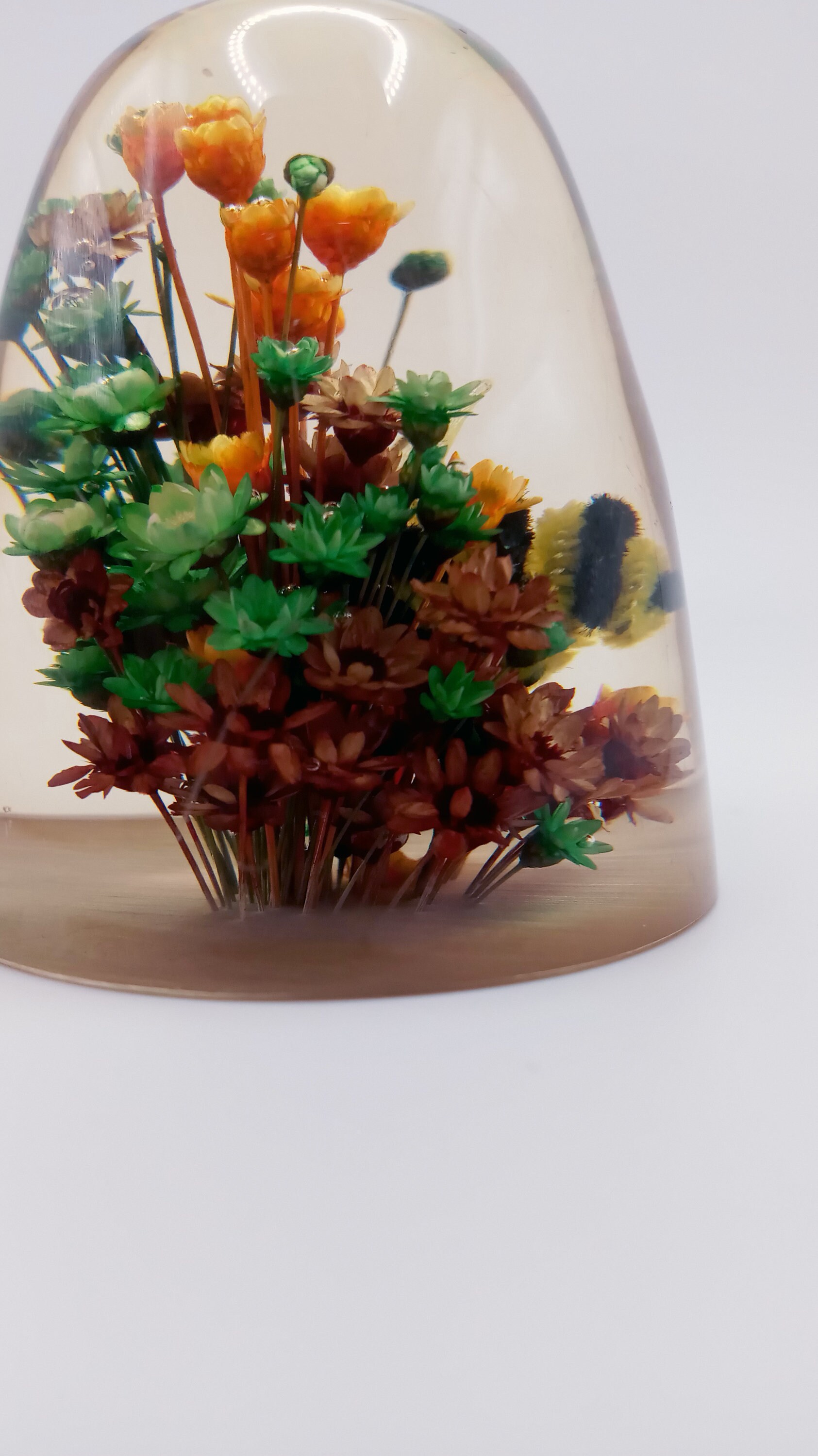 Paperweights Collectibles Daisyglas Company Dried Flowers and Faux Bee ...