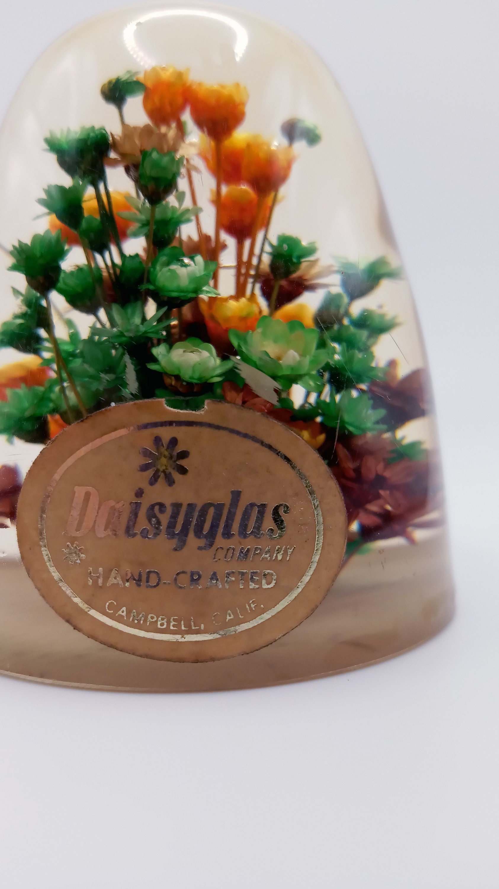 Paperweights Collectibles Daisyglas Company Dried Flowers and Faux Bee ...