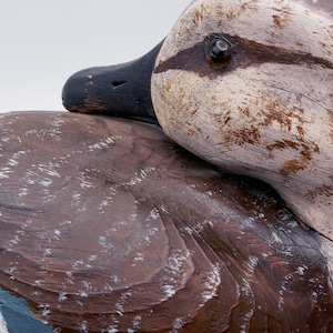 Gorgeous Hand-carved Blue Wing Teal, Decoy, by Laurent larry Verdin Jr ...