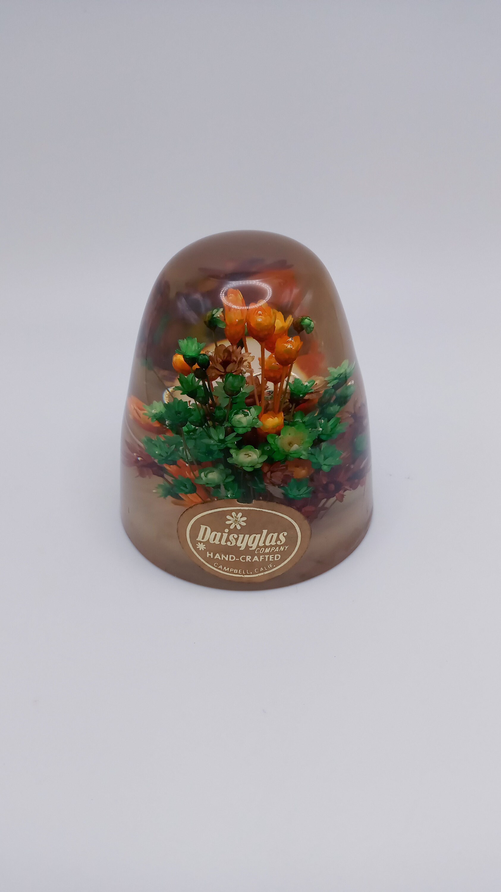 Paperweights Collectibles Daisyglas Company Dried Flowers and Faux Bee ...