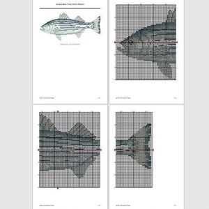 Striped Bass Fish Cross Stitch Pattern PDF Download | Homemade Thread ...