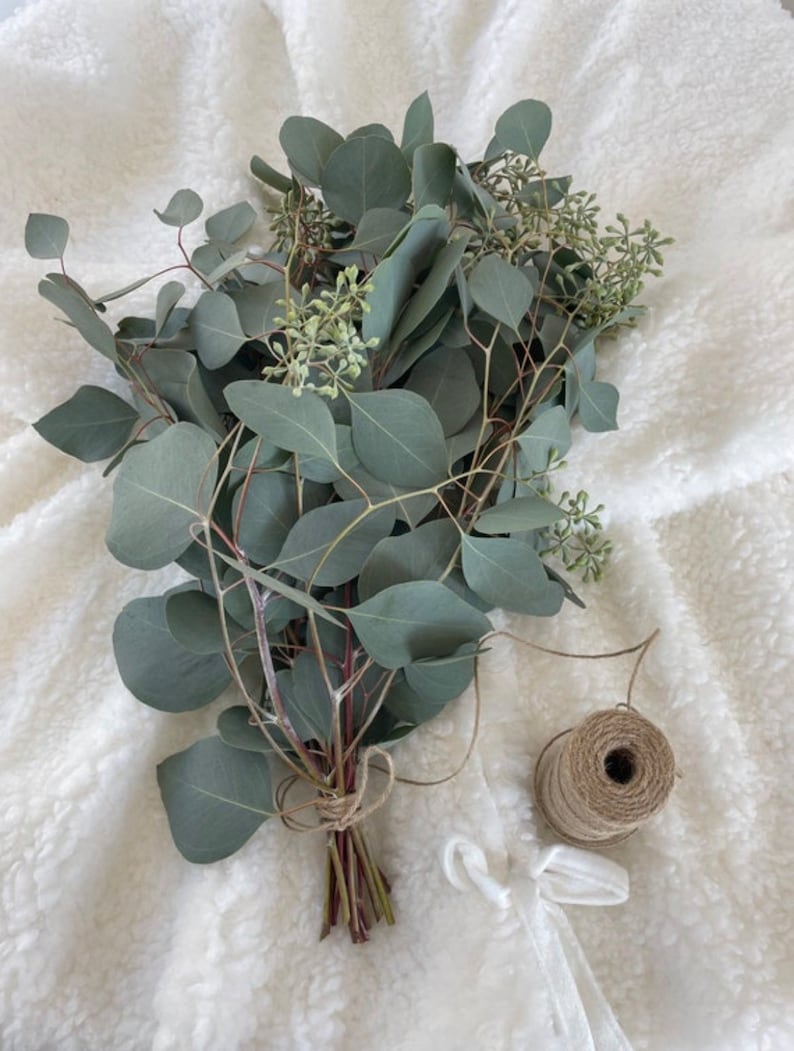 Fresh Seeded Eucalyptus - Etsy